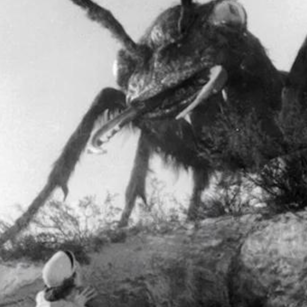 The Unexpected Sophistication Of B Movies the-unexpected-sophistication-of-b-movies
